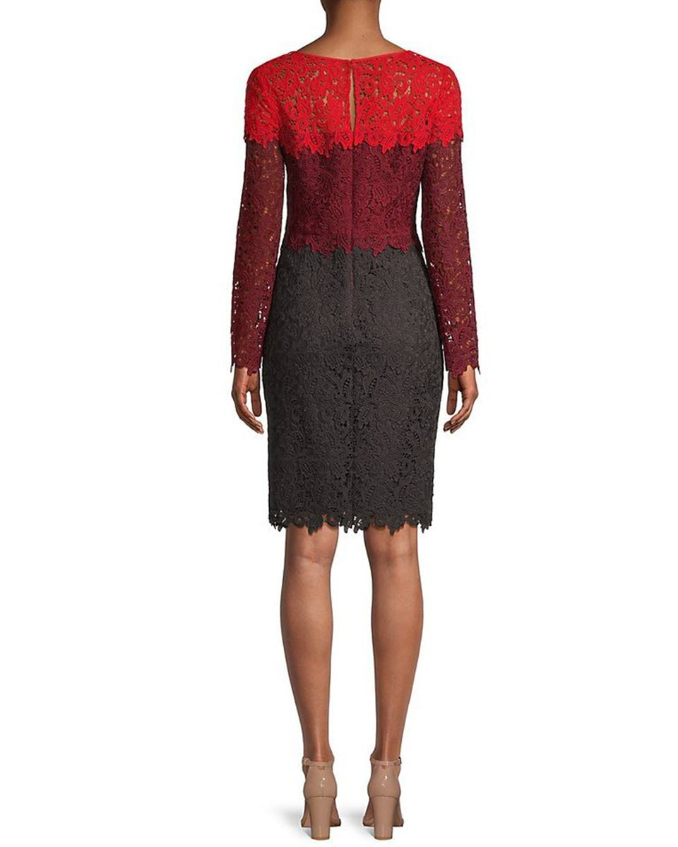 Buy Online FOCUS by Shani - Long-Sleeve Ombré Lace Sheath Dress for ...