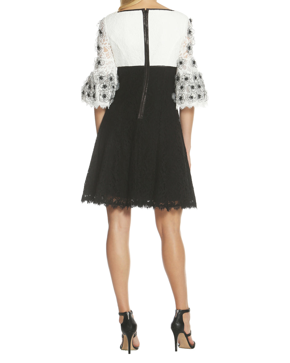 Buy Online Floral Appliqué Colorblock Fit & Flare Lace Dress for Women ...